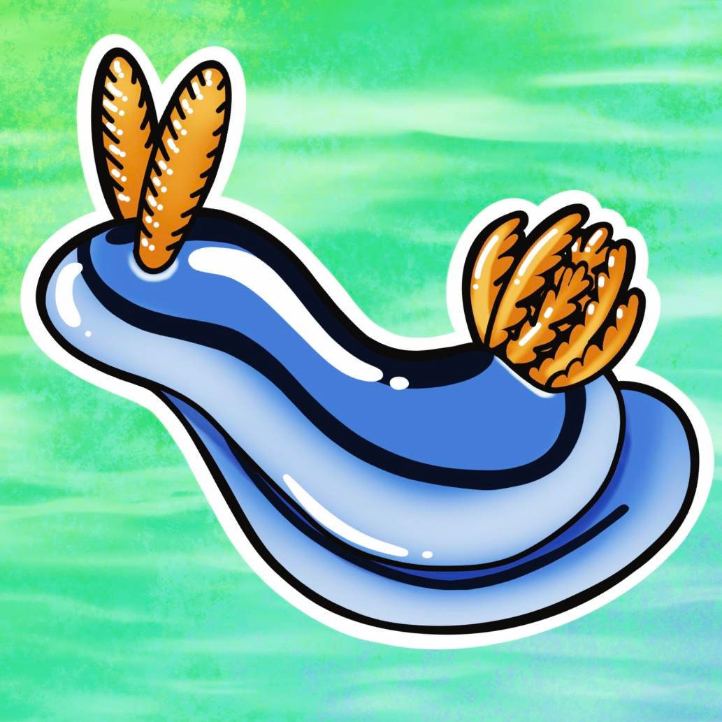 Nudibranches Sea Slugs Vinyl Stickers/decals: Blue Sea Dragon - Etsy Canada