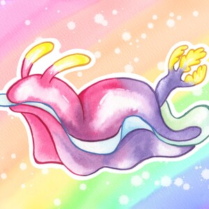Rainbow Nudibranches Sea Slugs Vinyl Stickers! Blue Sea Dragon, Sea ...