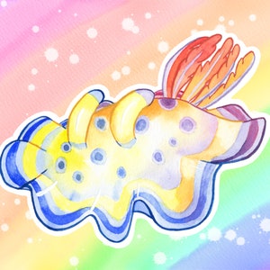 Rainbow Nudibranches Sea Slugs Vinyl Stickers! Blue Sea Dragon, Sea ...