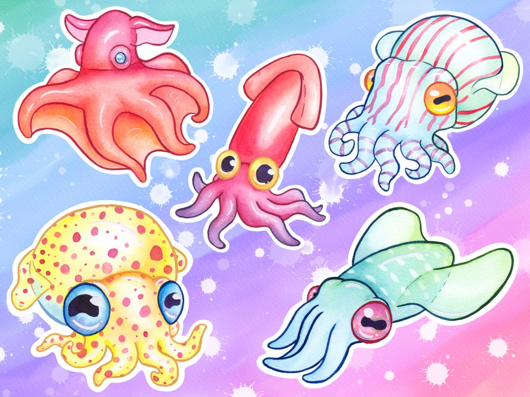 Rainbow Squid Vinyl Stickers/decals: Bigfin Reef, Bobtail, Giant ...