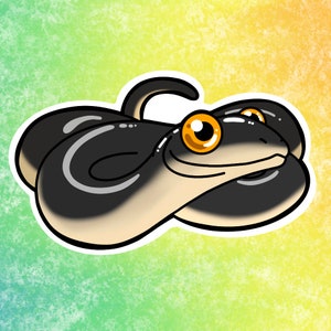 Snakes Vinyl Stickers/decals: Ball Python, Black Rat Snake, Corn Snake ...