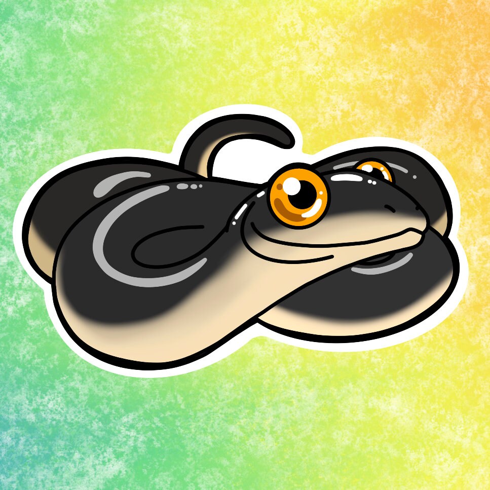 Snakes Vinyl Stickers/Decals: Ball Python Black Rat Snake | Etsy