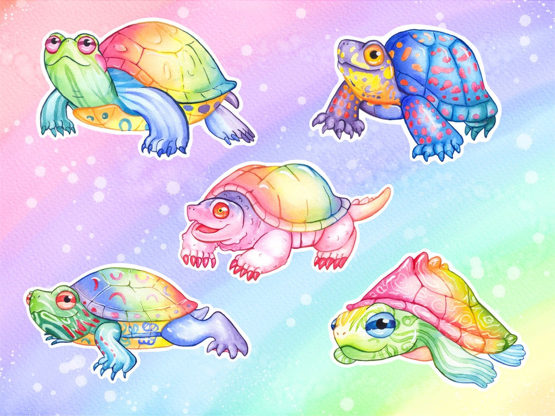 Rainbow Turtles Vinyl Stickers/decals: Eastern Box Turtle, Map Turtle ...