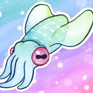 Rainbow Squid Vinyl Stickers/decals: Bigfin Reef, Bobtail, Giant, Pyjama, and Vampire Squids ...