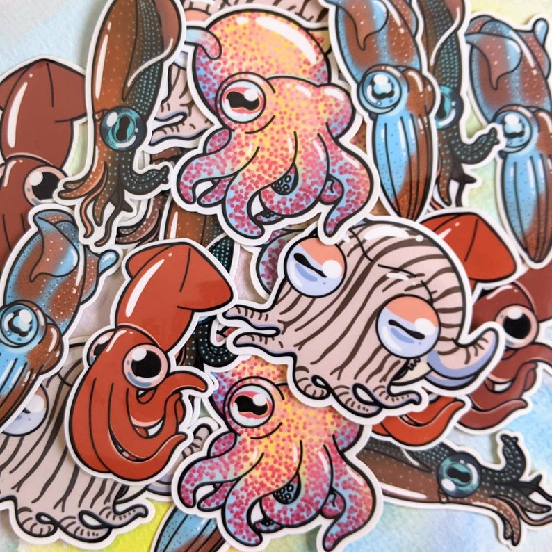 Squid Vinyl Stickers: Bobtail, Caribbean Reef, Firefly, Giant, Pyjama ...