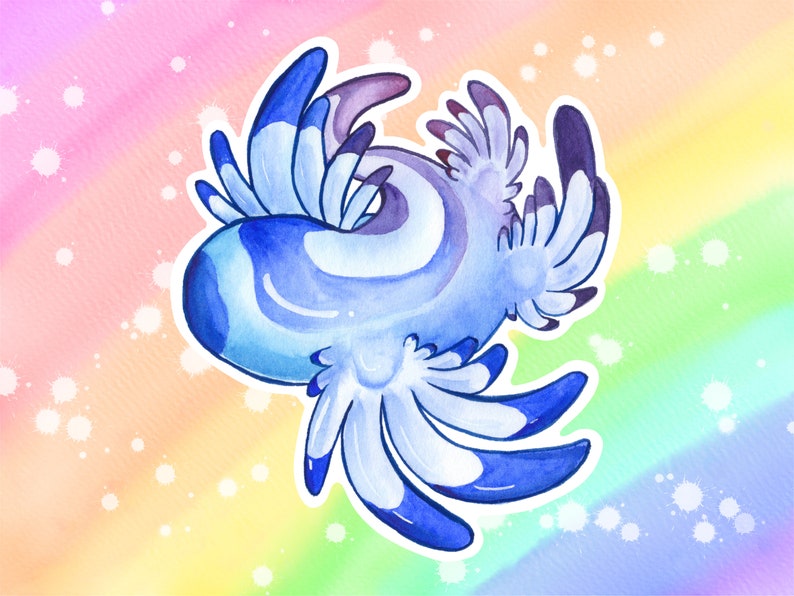 Rainbow Nudibranches Sea Slugs Vinyl Stickers/decals: Blue Sea - Etsy