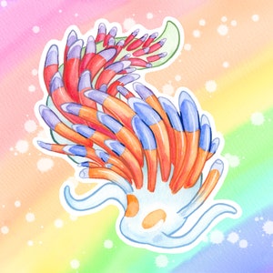 Rainbow Nudibranches Sea Slugs Vinyl Stickers! Blue Sea Dragon, Sea ...