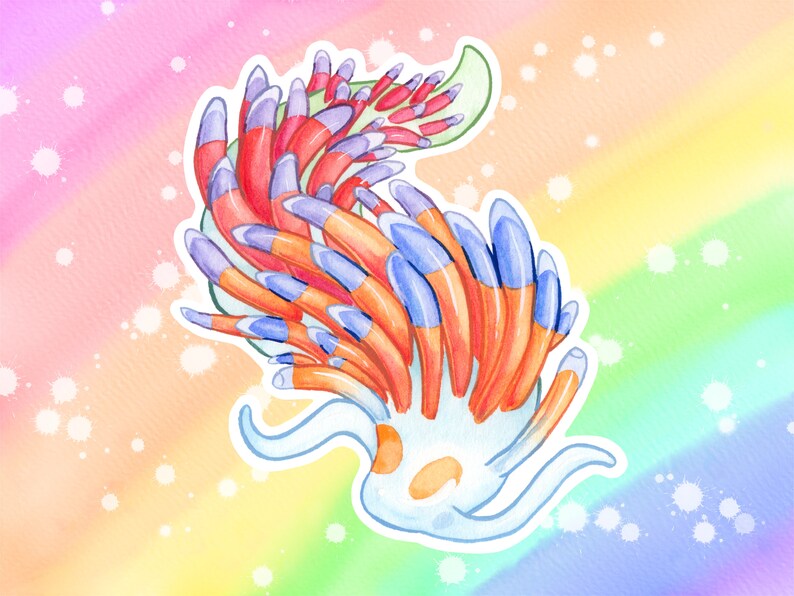 Rainbow Nudibranches Sea Slugs Vinyl Stickers/decals: Blue Sea - Etsy
