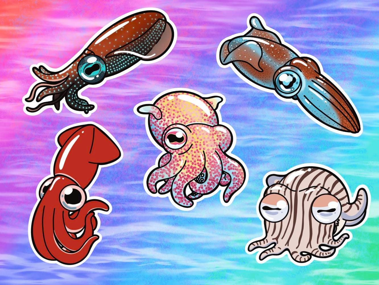 Squid Vinyl Stickers/decals: Bobtail Caribbean Reef Firefly - Etsy