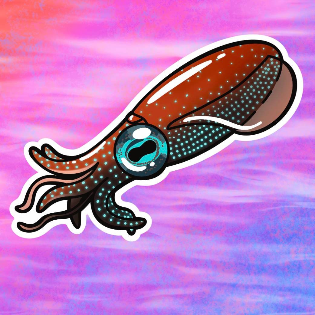 Squid Vinyl Stickers/decals: Bobtail Caribbean Reef Firefly - Etsy