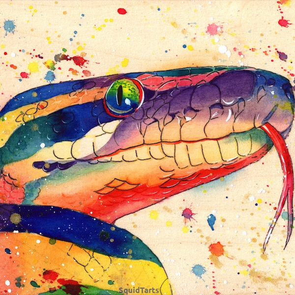 Rainbow Snake - Etsy