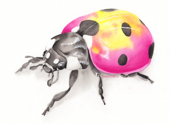Rainbow Ladybugs 🌈 Marinette Rainbow Transformation! Ladybug's New