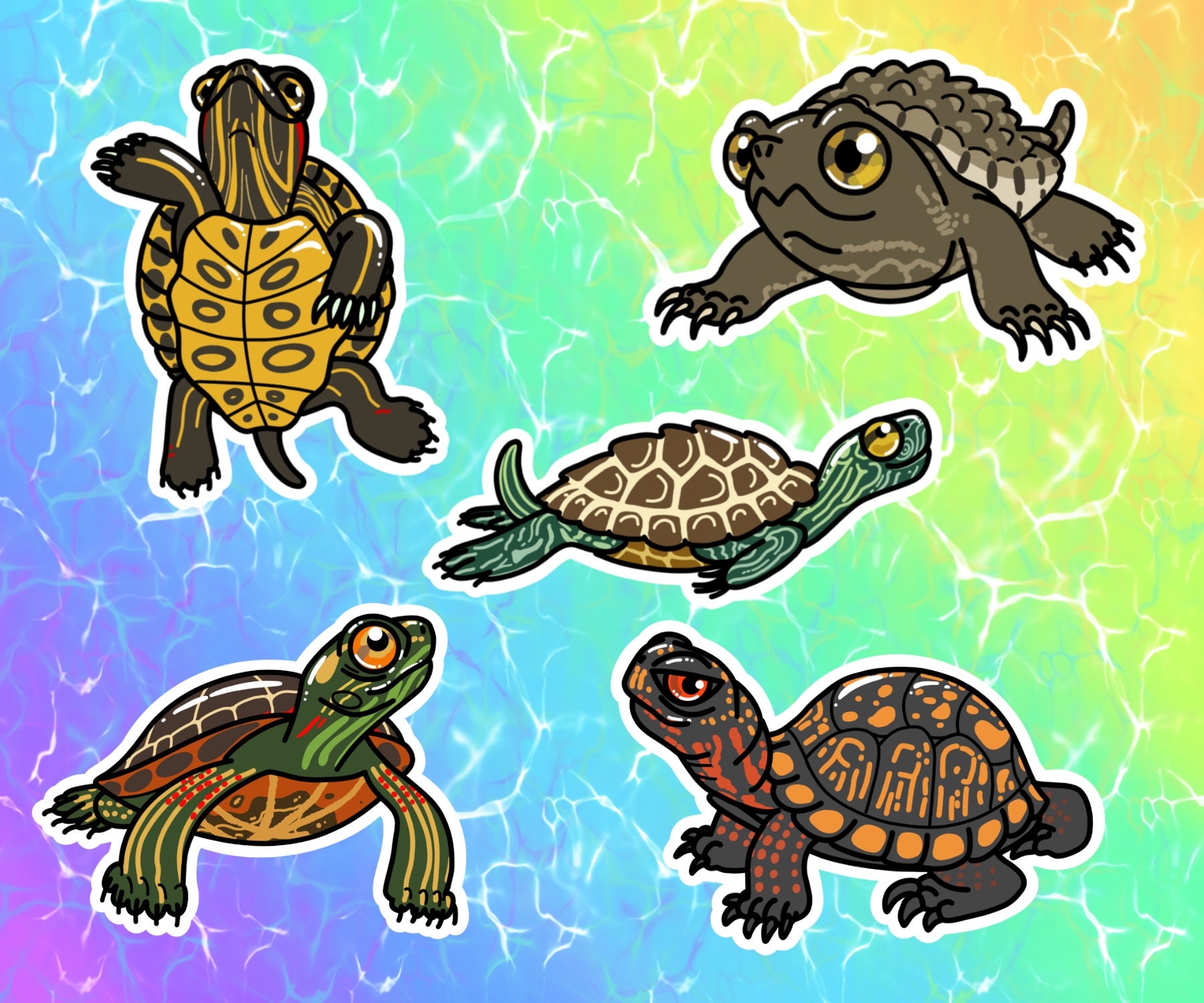 Turtles Vinyl Stickers/decals: Eastern Box Turtle Map Turtle - Etsy