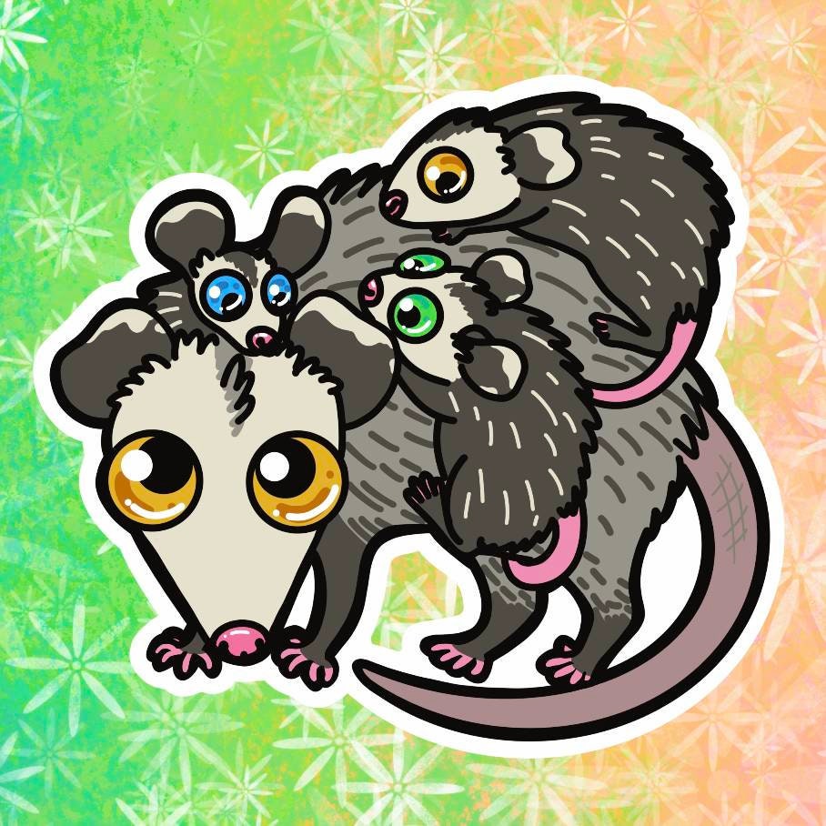 Opossums Vinyl Stickers/decals - Etsy