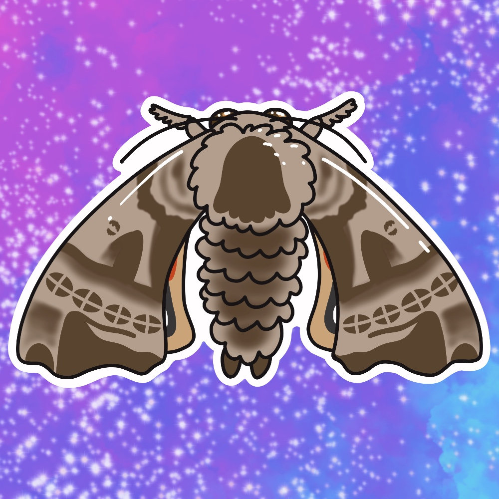 Moths Vinyl Stickers/decals: Clearwing Hummingbird Luna Rosy - Etsy