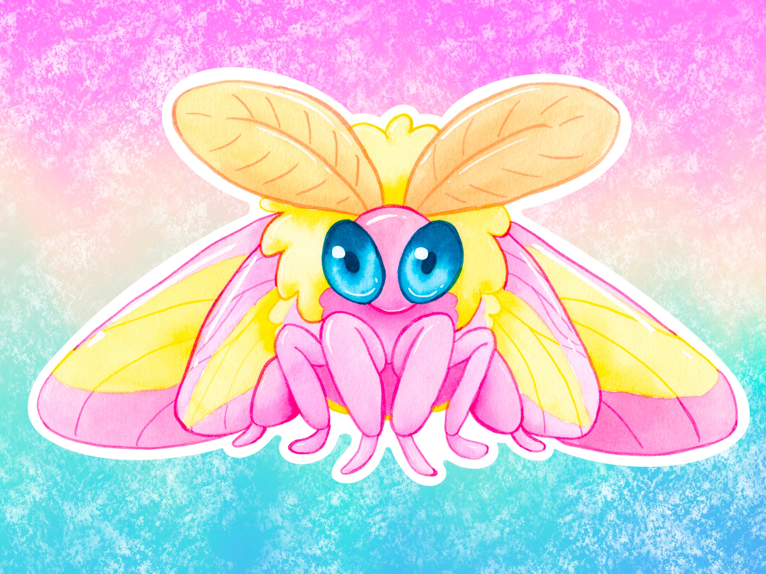 Watercolor Style Rosy Maple Moth Vinyl Sticker/Decal | Etsy