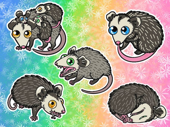 Opossums Vinyl Stickers/decals - Etsy
