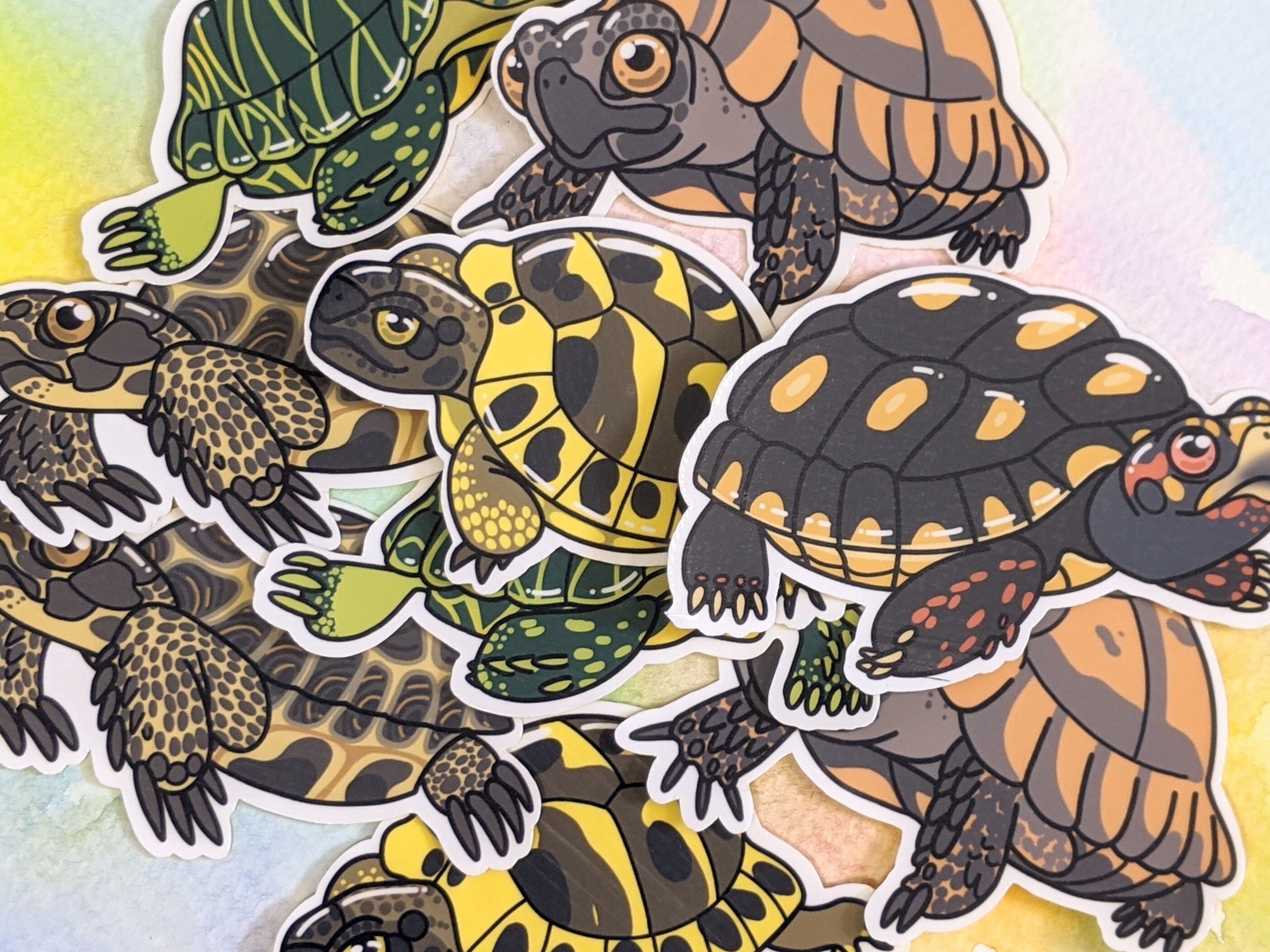 Tortoises Vinyl Stickers/decals: Greek Tortoise Hermann's - Etsy