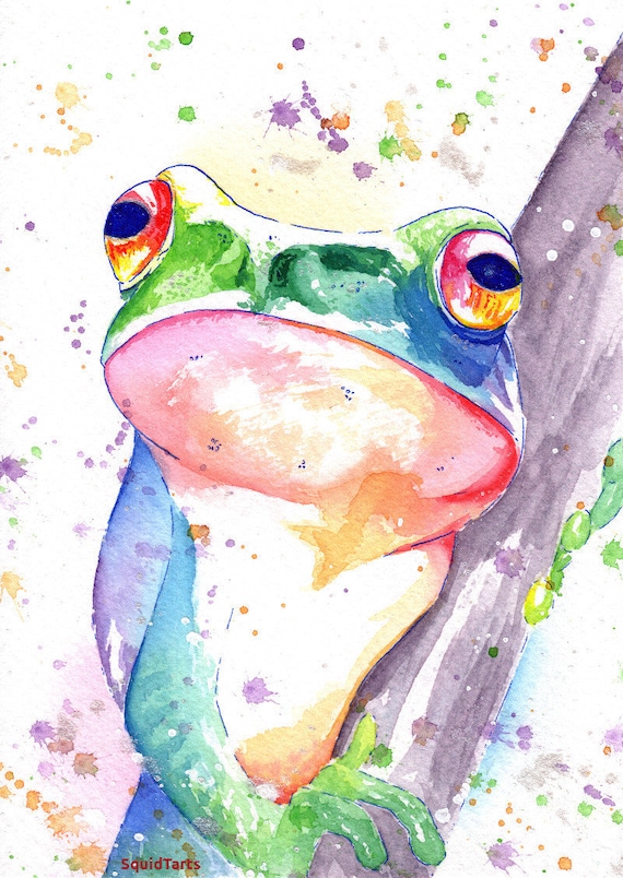 Rainbow Tree Frog