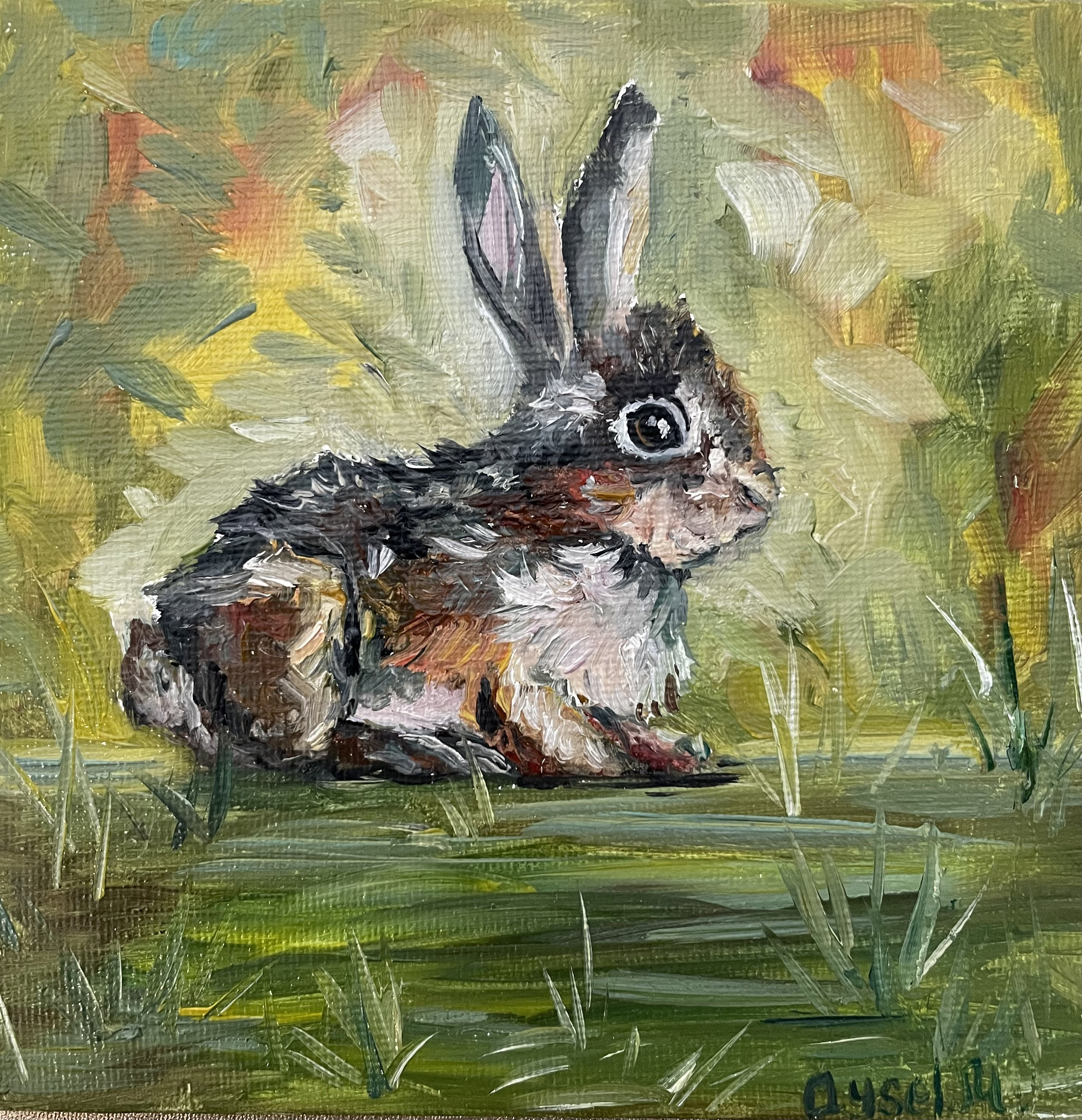 Rabbit Oil Paintings