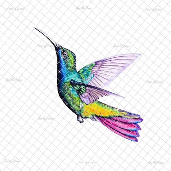 Hummingbird Clear Laser Printed Waterslide Image Hummingbird - Etsy