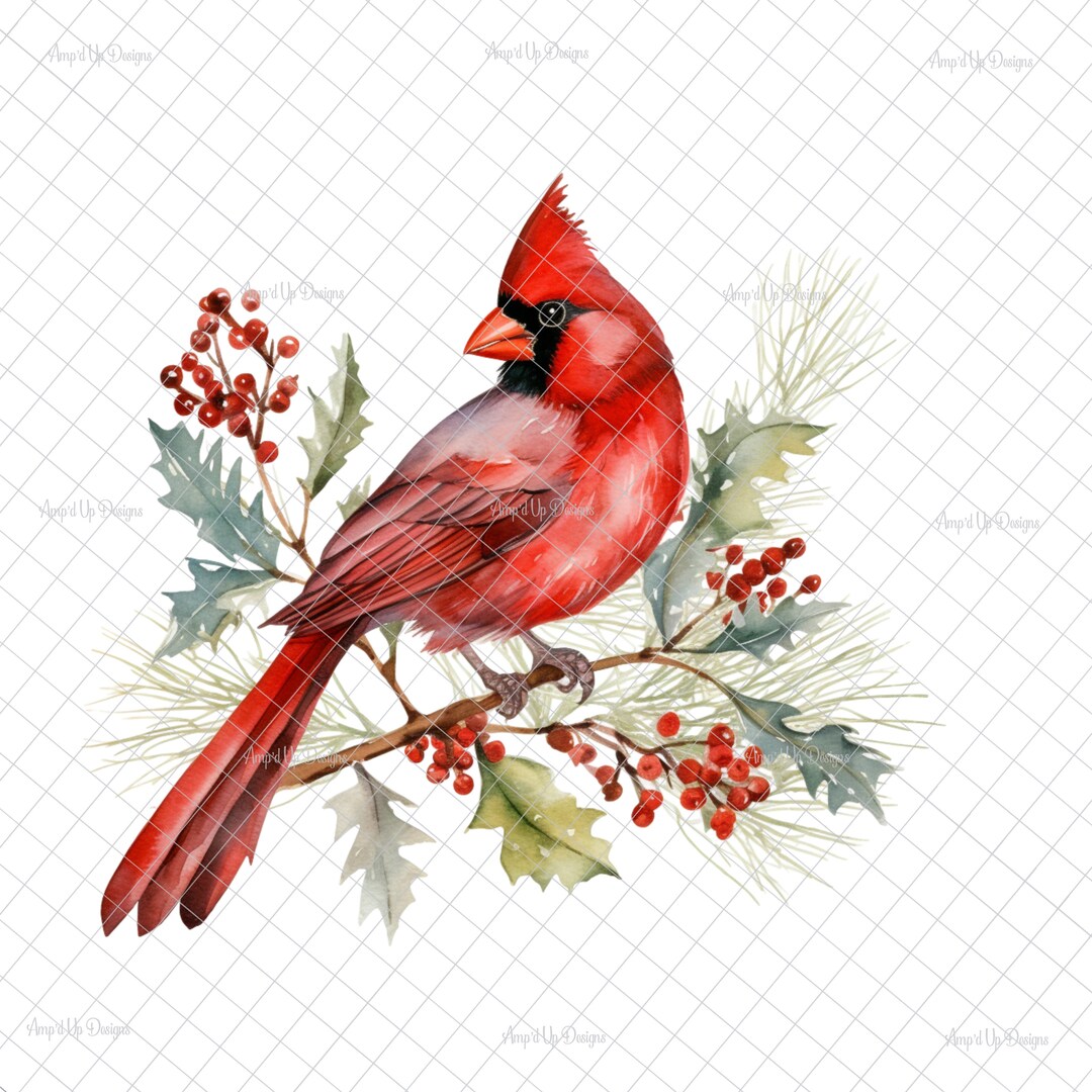 Cardinal Clear Laser Printed Waterslide Image, Christmas Cardinal Decal ...