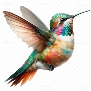 Colorful Hummingbird Clear Laser Printed Waterslide, Watercolor ...