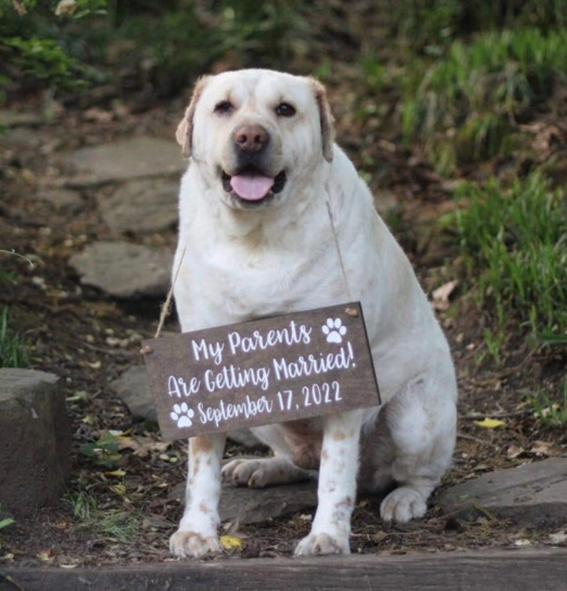 My Parents Are Getting Married Dog Sign Handmade Maple Wood - Etsy