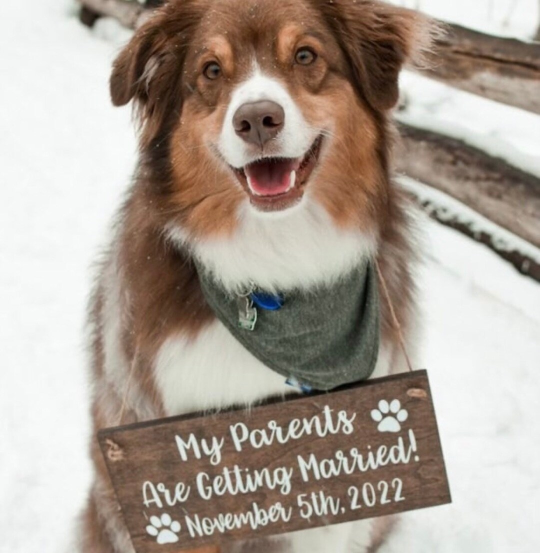 My Parents Are Getting Married Dog Sign Handmade Maple Wood Wedding ...