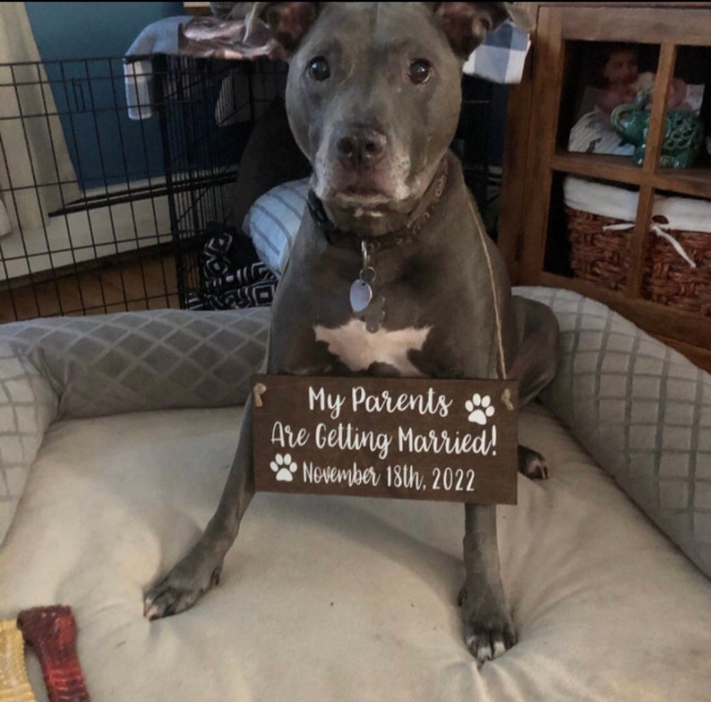 My Parents Are Getting Married Dog Sign Handmade Maple Wood - Etsy