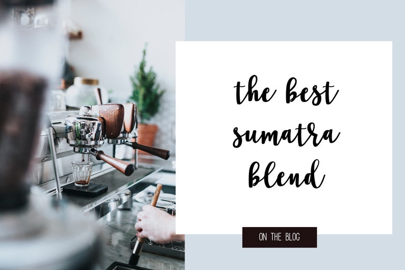 FONT Coffee Shop Script a Thick Legible Cursive Brush - Etsy