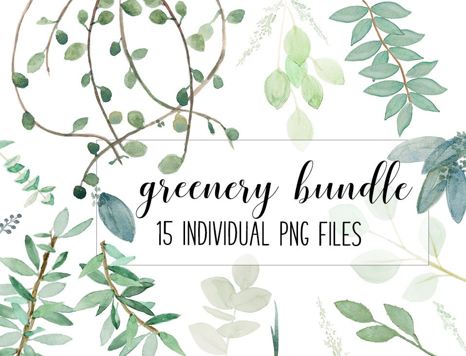 Spring Greenery Bundle of Watercolor Botanical Leaves | Etsy