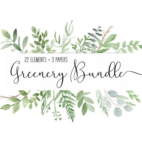 Watercolor Greenery Clipart Green Eucalyptus Foliage Clip - Etsy