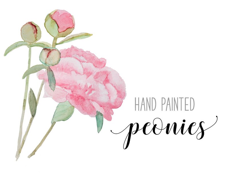 Pink Peony Watercolor Clip Art Digital Art Print Peony - Etsy