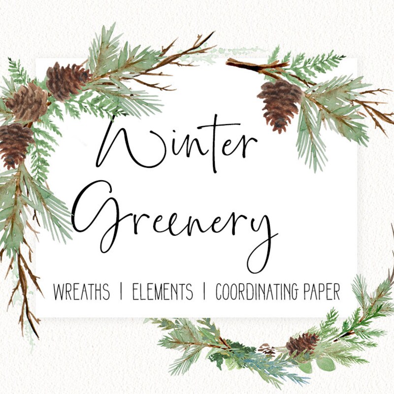 Winter Greenery Clipart - Etsy