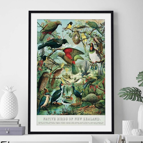 Native Birds of New Zealand Art Print - Etsy