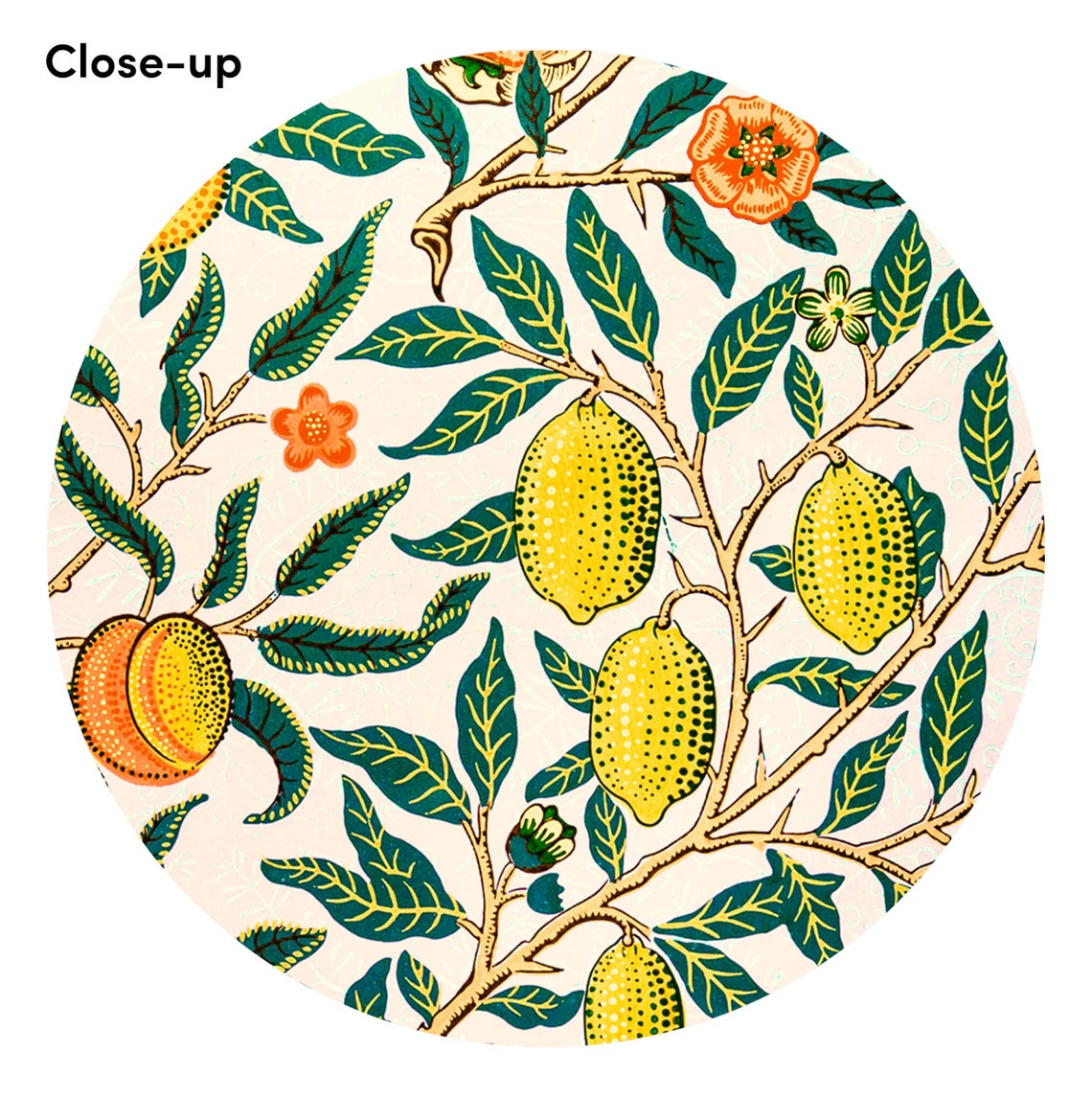 Lemon Tree by William Morris Art Print - Etsy