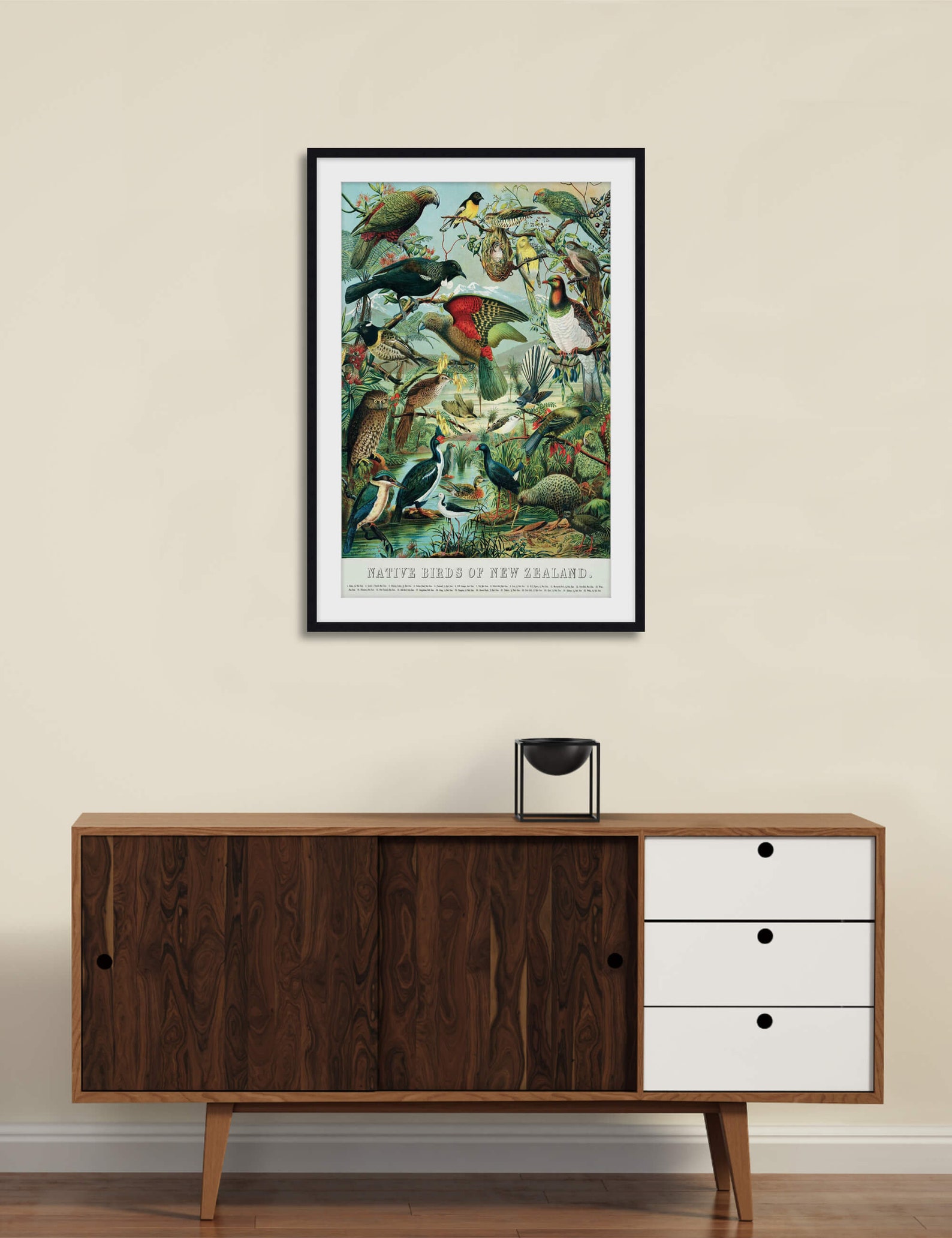 Native Birds of New Zealand Art Print - Etsy