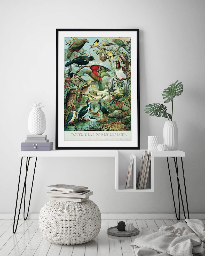 Native Birds of New Zealand Art Print - Etsy