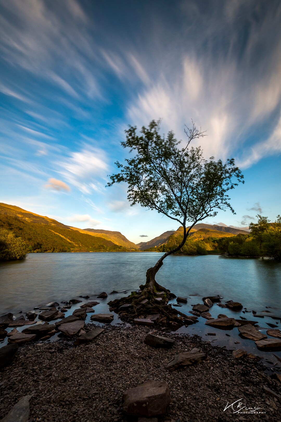 The Lone Tree Summer Streaks Fotografie Druck - Etsy.de
