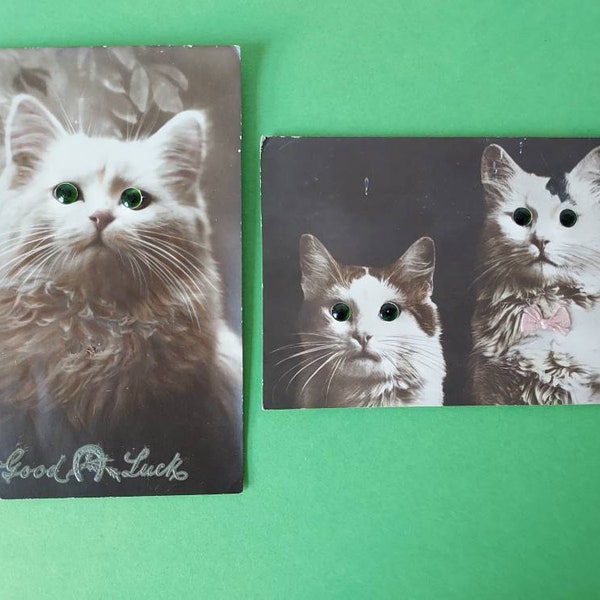 Antique Cat Postcard - Etsy