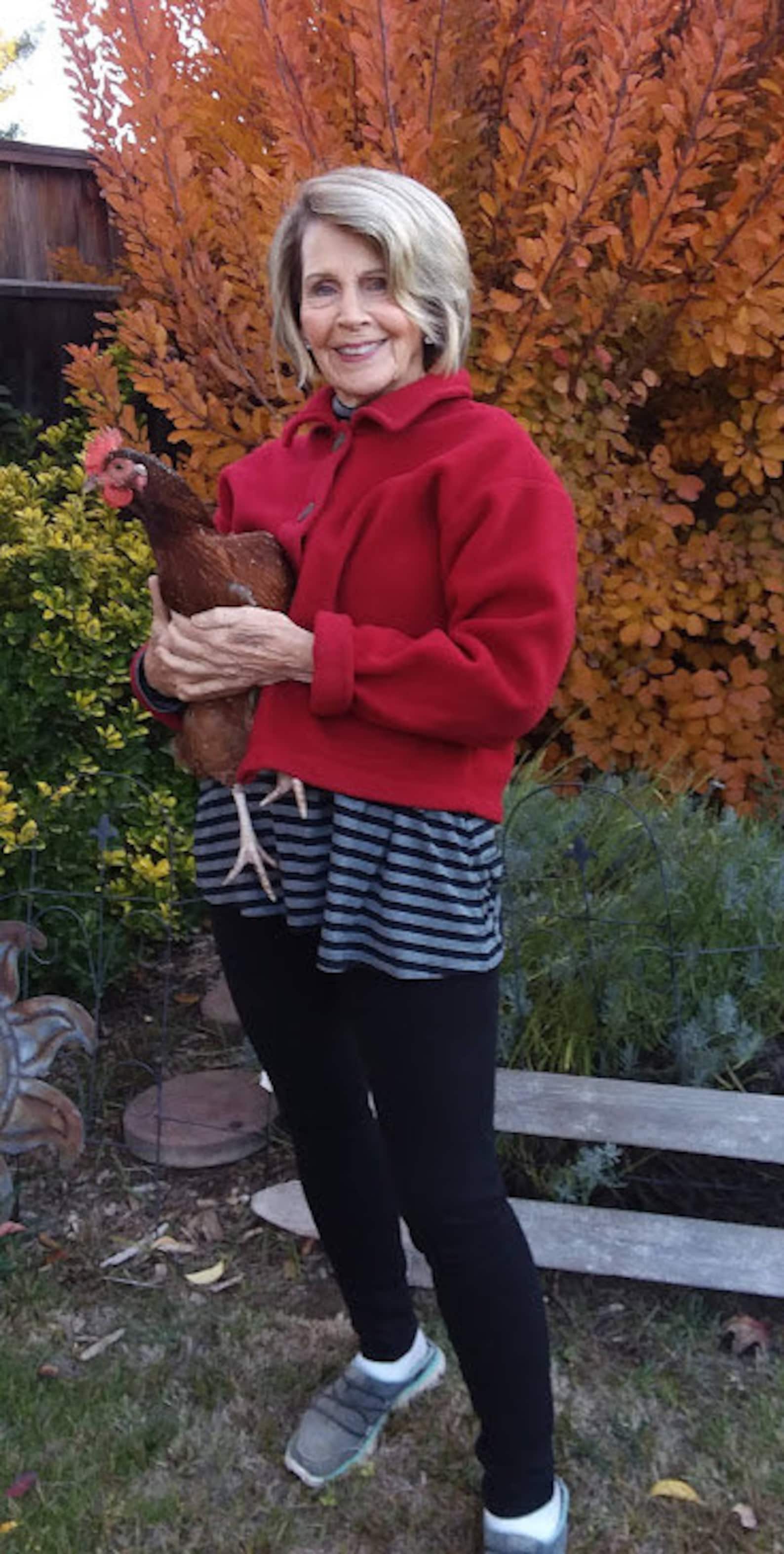 Chicken Denim Jacket, Rooster Animal Jacket, Chicken Hen Jean Jacket ...