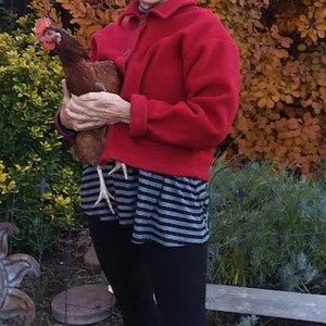 Chicken Denim Jacket, Rooster Animal Jacket, Chicken Hen Jean Jacket ...