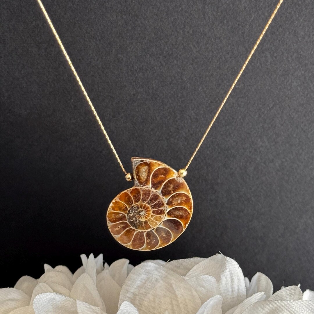 Ammonite Fossil Necklace • Real Spiral Pendant • Gold Filled or ...
