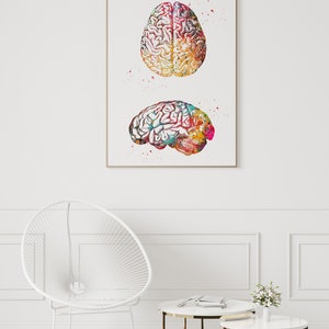 Human Brain Anatomy Poster Medical Science Watercolor Digital Printable ...