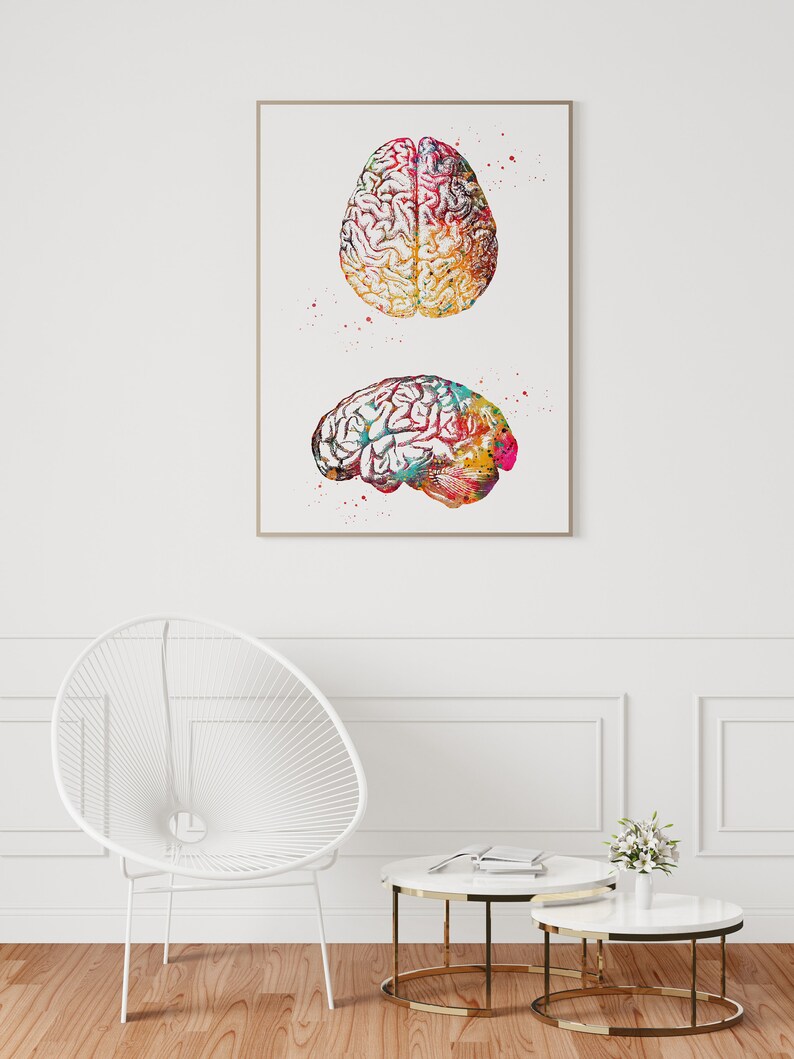 Human Brain Anatomy Poster Medical Science Watercolor Digital - Etsy