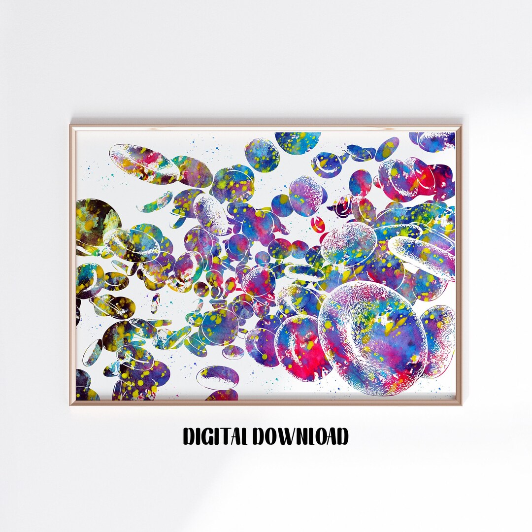 Red Blood Cells Blood Histology Hematology Poster Medical Science ...