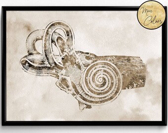 Human Ear Keychain Ear Anatomy Keychain Inner Ear