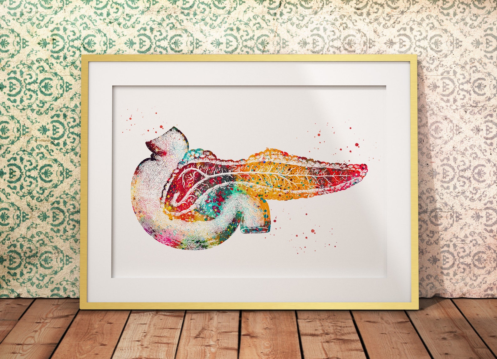 Pancreas Human Anatomy Internal Organs Poster Medical Science ...