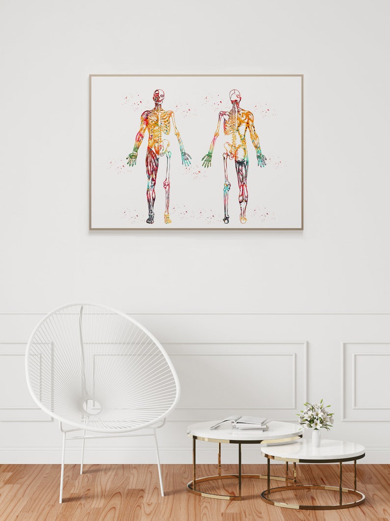 Bones and Muscles Anatomy Musculoskeletal System Front and - Etsy